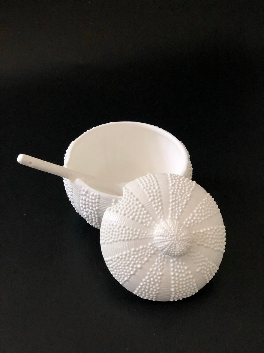 Salungo container – Liwayway.ph